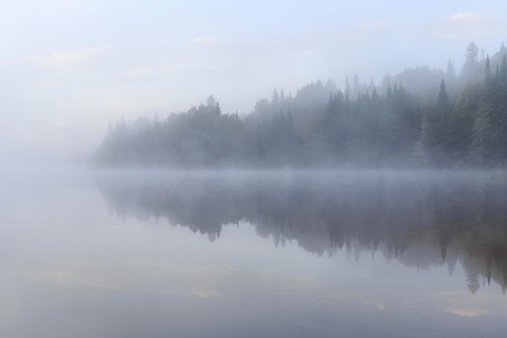 500 Fog patch Stock Pictures, Editorial Images and Stock Photos ...