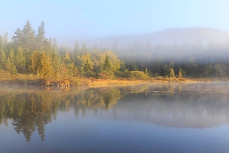 500 Fog patch Stock Pictures, Editorial Images and Stock Photos ...