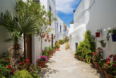 53 Lime alley Stock Pictures, Editorial Images and Stock Photos ...