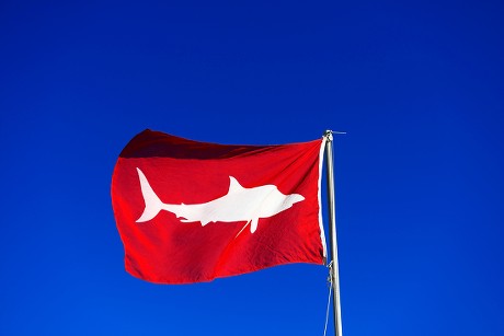 78 Shark warning Stock Pictures, Editorial Images and Stock Photos ...