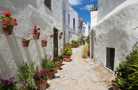 53 Lime alley Stock Pictures, Editorial Images and Stock Photos ...