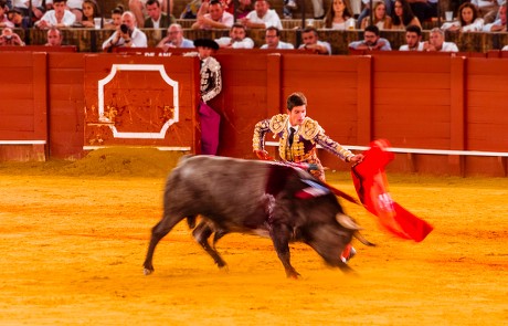 500 Bull fight in arena Stock Pictures, Editorial Images and Stock ...