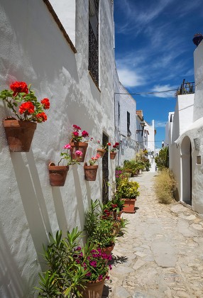 53 Lime alley Stock Pictures, Editorial Images and Stock Photos ...