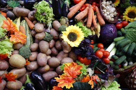 Vegetables Fruits On Display Stand Exhibition Editorial Stock Photo ...