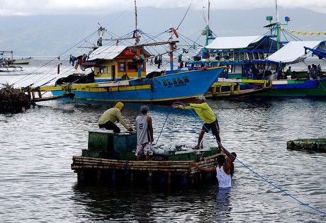 250 Infanta quezon philippines Stock Pictures, Editorial Images and ...