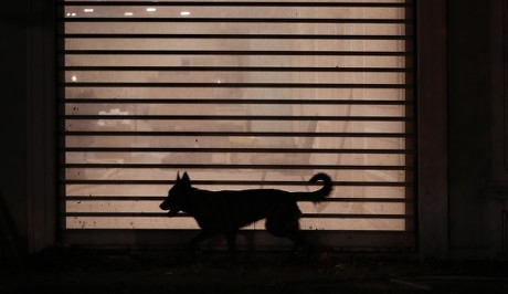 Turkish Forensic Police Officers Work Search Editorial Stock Photo ...