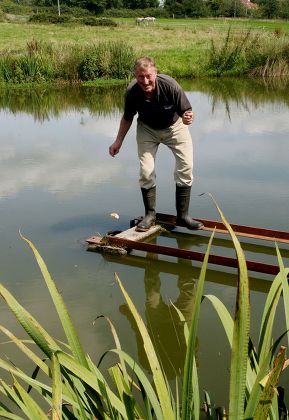 Pond Owner Colin Pady Demonstrates How Editorial Stock Photo - Stock ...