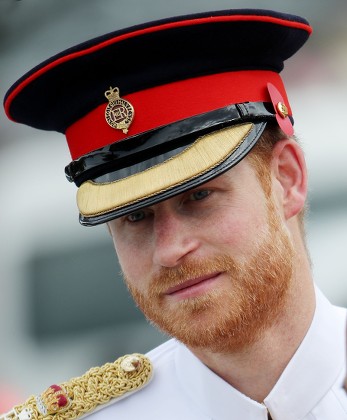 prince harry portraits Stock Photos (Exclusive) | Shutterstock