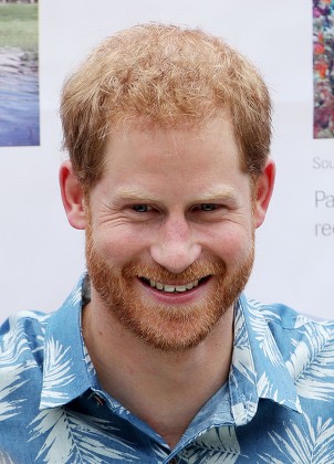 prince harry portraits Stock Photos (Exclusive) | Shutterstock