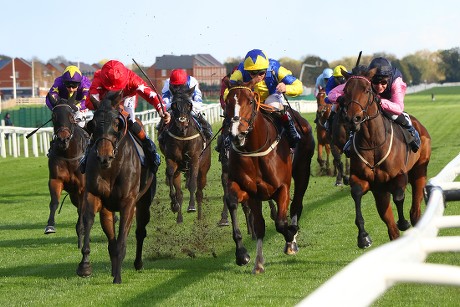 Twenty Times Red Ridden By Finley Editorial Stock Photo - Stock Image ...
