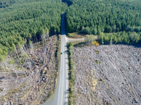 Areal View Clear Cut Forrest After Editorial Stock Photo - Stock Image ...