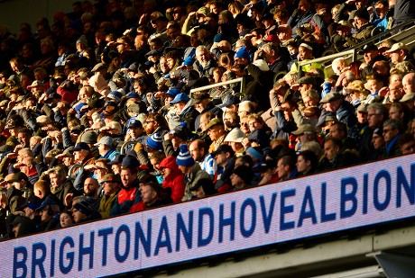 Matthew Ryan Goalkeeper Brighton Hove Albion Editorial Stock Photo ...