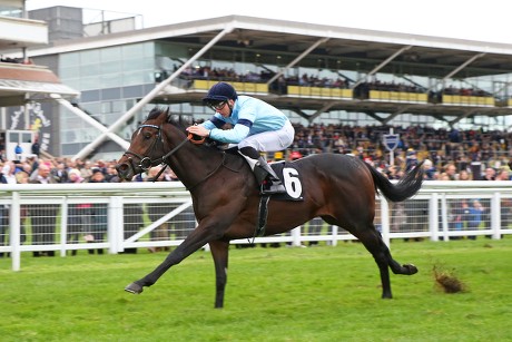Luxor Members Highclere Thoroughbred Racing After Editorial Stock Photo ...