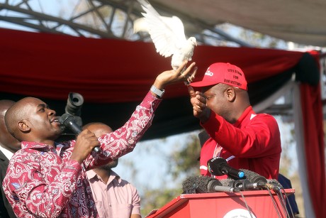 Movement For Democratic Change (MDC) 19th anniversary celebrations ...