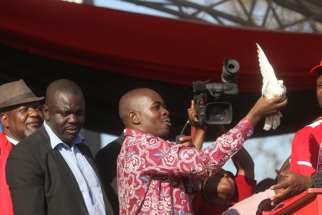 Movement For Democratic Change (MDC) 19th anniversary celebrations ...