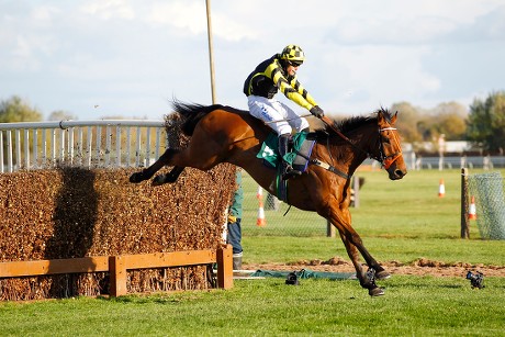 89 Chase middleton Stock Pictures, Editorial Images and Stock Photos ...