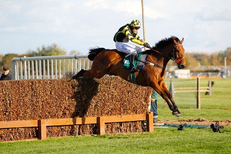 89 Chase middleton Stock Pictures, Editorial Images and Stock Photos ...