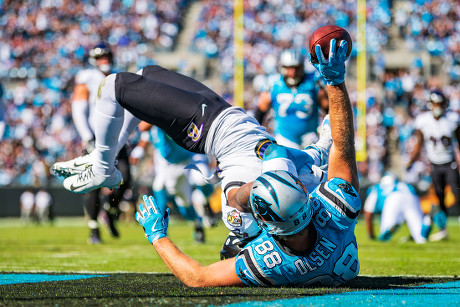 Carolina Panthers Tight End Greg Olsen Editorial Stock Photo - Stock ...