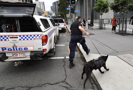 Police Offcer Handles K9 Officer Outside Editorial Stock Photo - Stock ...