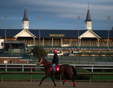 Horse Racing Breeders Cup Preparations, Louisville, USA - 30 Oct 2018 ...