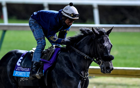 Forty Under Trained By Jeremiah C Editorial Stock Photo - Stock Image ...