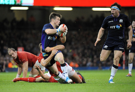 George Horne Scotland Scrum Half Brought Editorial Stock Photo - Stock ...