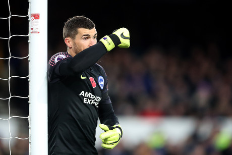 Brighton Hove Albion Goalkeeper Matthew Ryan Editorial Stock Photo ...