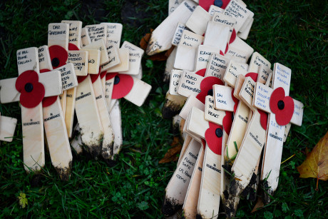 Poppy Crosses Westminster Abbeys Field Remembrance Editorial Stock ...