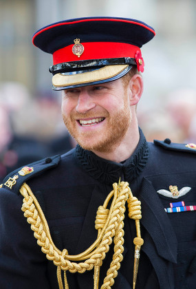 prince harry portraits Stock Photos (Exclusive) | Shutterstock