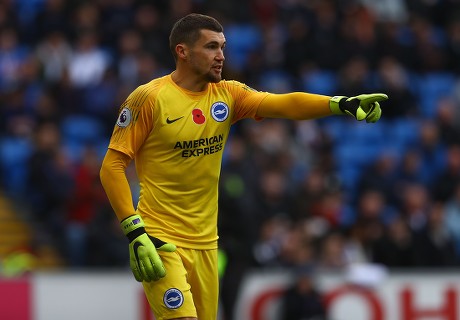 Brighton Hove Albion Goalkeeper Matthew Ryan Editorial Stock Photo ...