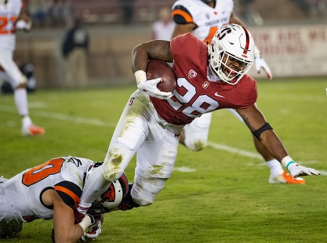 Stanford Cardinal Running Back Dorian Maddox Editorial Stock Photo ...