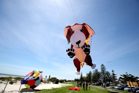 Kites Seen Skies Above Semaphore Beach Editorial Stock Photo - Stock ...