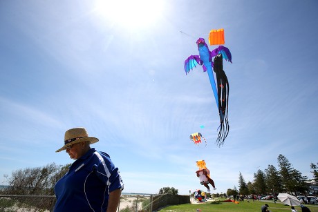 Kites Seen Skies Above Semaphore Beach Editorial Stock Photo - Stock ...