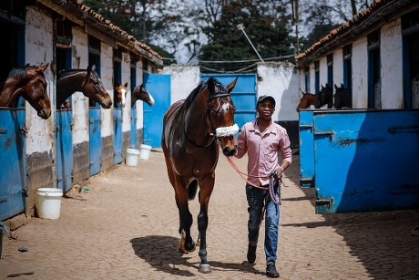 __COUNT__ Horse racing in Nairobi, Kenya - 07 Oct 2018 Stock Pictures ...