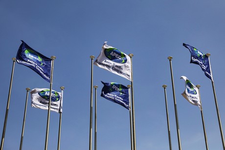 View Asiapacific Economic Cooperation Apec Flags Editorial Stock Photo ...