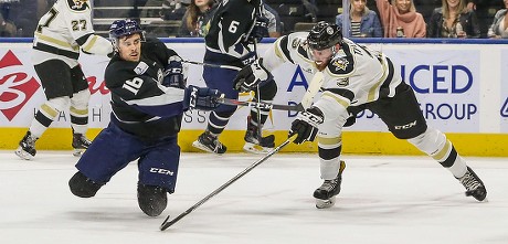 Wheeling Nailers Defenseman Brien Diffley 26 Editorial Stock Photo ...