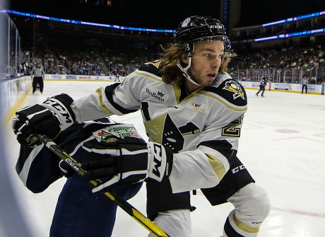 Wheeling Nailers Defenseman Brien Diffley 26 Editorial Stock Photo ...