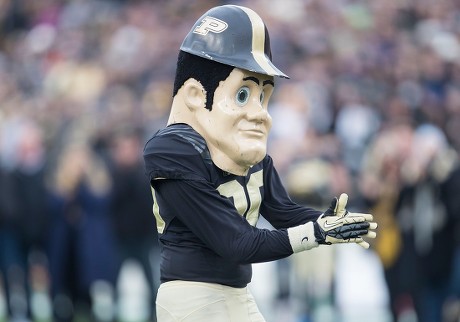 Purdue Pete During Ncaa Football Game Editorial Stock Photo - Stock ...