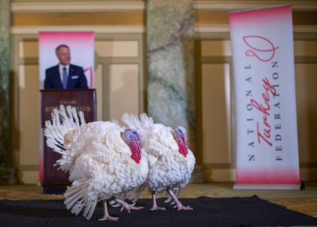 Officials National Turkey Federation Willard Intercontinental Editorial ...