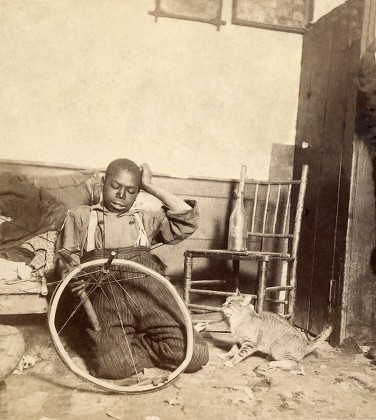 2 Debble Stock Pictures, Editorial Images and Stock Photos | Shutterstock