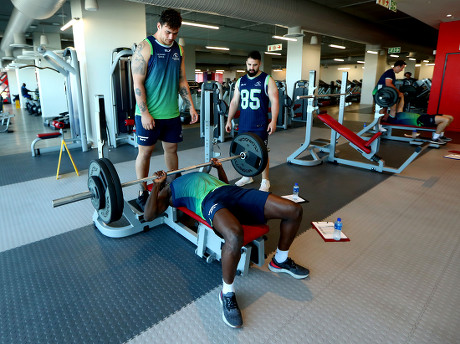 imágenes de Connacht Rugby Gym Session, South Africa - 21 Nov 2018 ...