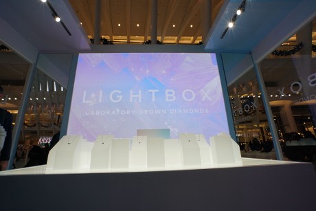 __COUNT__ LIGHTBOX Diamonds event, New York, USA - 26 Nov 2018 Stock ...