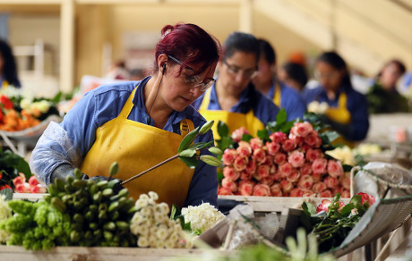250 Bouquets of roses Stock Pictures, Editorial Images and Stock Photos ...