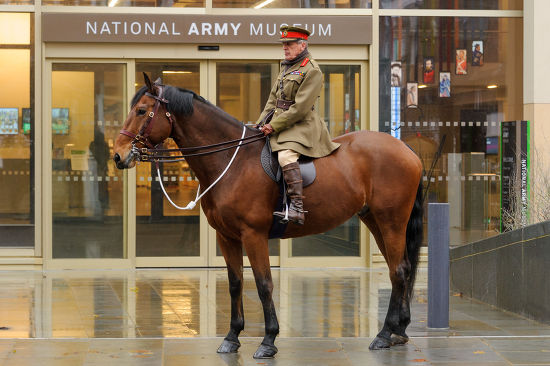 Brough Scott Mbe Horse Atticus Editorial Stock Photo - Stock Image ...