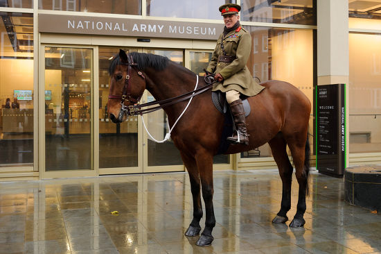 Brough Scott Mbe Horse Atticus Editorial Stock Photo - Stock Image ...