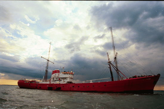Ross Revenge 1000ton Trawler Ship Which Editorial Stock Photo - Stock ...