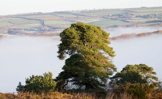 Morning Mist Wimbleball Lake Exmoor National Editorial Stock Photo ...