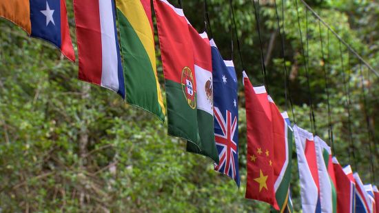 Dingo Dollar Challenge Flying Flag Editorial Stock Photo - Stock Image ...