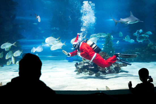 Scuba Diver Dressed Santa Claus Waves Editorial Stock Photo - Stock ...
