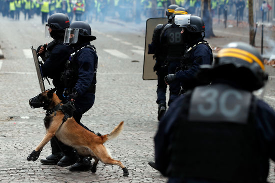 French Riot Police Dogs Repel Protesters Editorial Stock Photo - Stock ...